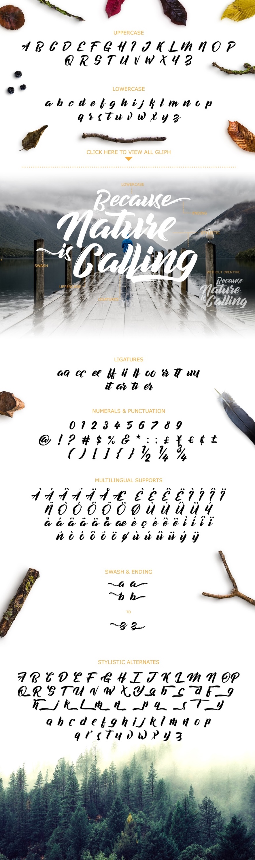 Decalled Script, Fonts | GraphicRiver